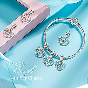 FOREVER QUEEN Number 60 Charm Fit Charm Bracelets 925 Sterling Silver Birthday Dangle Beads with 18K Gold Heart Shaped Pendant for Women Gift