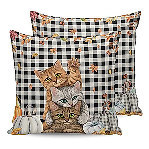 Outdoor Pillow Covers for Patio Furniture 16x16 inch 2PCS, Square Waterproof Garden Cushion Thanksgiving Harvest Pumpkin Cats Buffalo Plaid Throw Pillow Cover Shell for Sofa Couch Bench Seat