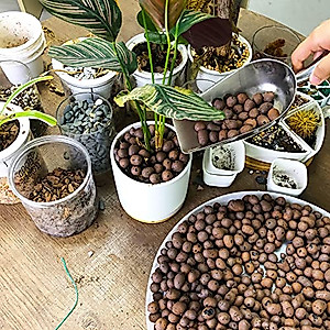 4.5LBS Leca Clay Pebbles for Plants, 8mm-12mm Expanded Clay Pebbles for Hydroponic Growing, Organic Natural Leca Clay Balls Pellets for Drainage Hydroponics Decoration Aquaponic