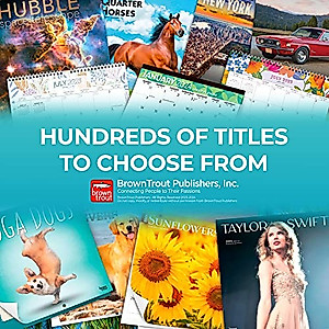 Beaches | 2024 6 x 7.75 Inch Spiral-Bound Wire-O Weekly Engagement Planner Calendar | New Full-Color Image Every Week | BrownTrout | Travel Nature Tropical