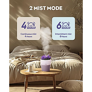 Small Humidifier For Plants, Mini Humidifiers For Bedroom Home, Lavender plant Cool Mist Humidifiers, 150m personal humidifier, Super Quiet And Waterless Auto Shut Off