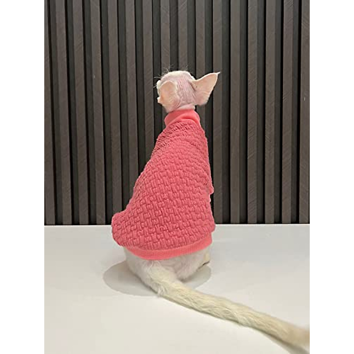 Sphynx Hairless Cat Clothes Autumn Solid Color Turtleneck Sweater Soft Warm Elasticity Pullover Cat Apparel Pet Clothes (M(4.4-5.5lbs), Rose red)