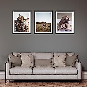 12x16 Picture Frame Set of 3 Wood Diamond Painting Frame 30x40cm Display 10x14 in / 25x35cm with Mat or 12 x 16 in / 30cm x 40cm Without Mat Diamond Art Frame Poster Photo Gallery Wall Frame - Black