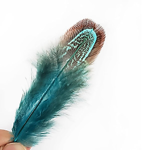 100 pcs Natural Pheasant Plumage Feathers 2-3 Inches Plumage Feathers for Sewing Crafts Clothing Decorating Accessories -Blue