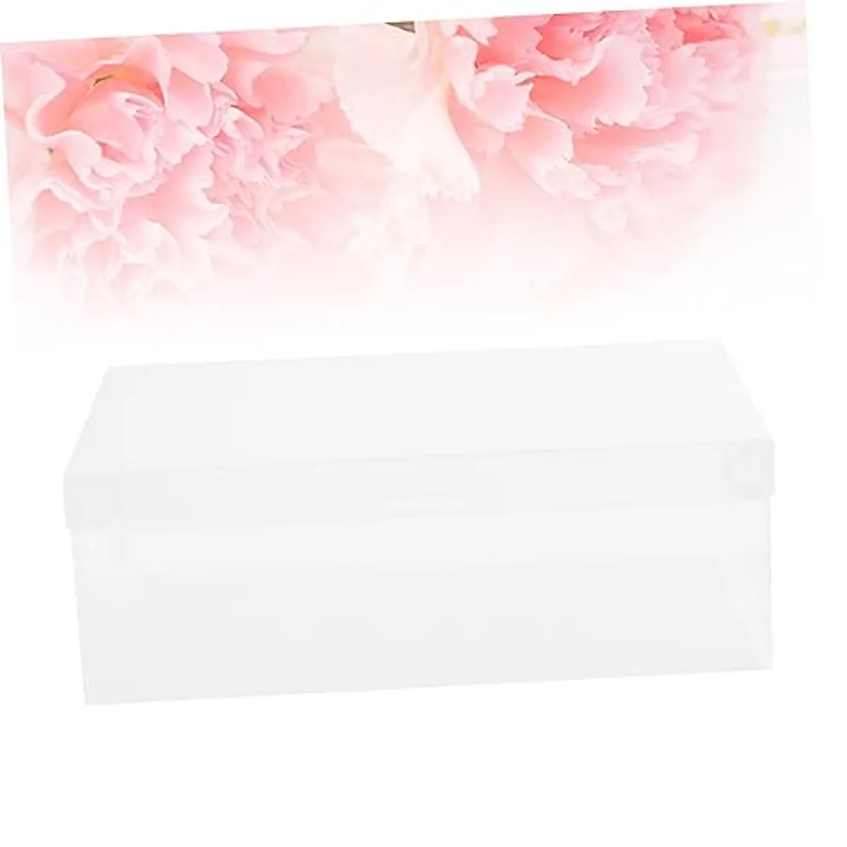 Alipis clear plastic organizer bins de transparente girl Clamshell white