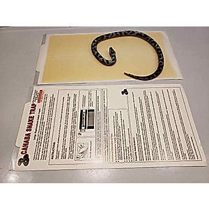 Snake Glue Board 3-Pack Commercial Grade for Large Cahaba Snake Trap, Made in USA