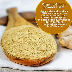 HQOExpress Organic Ground Ginger – Non GMO, Kosher, USDA Certified Organic Ginger Powder – Hot and Spicy Aromatic Seasoning for Baking, Rubs, Marinades and Smoothies, 14 oz. Chef Jar