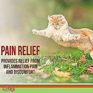 Licks Pill-Free Cat Ache Aid - Turmeric and Ginger Cat Supplements - Cat Health Supplies & Pain Relief - Gel Packets - 10 Use