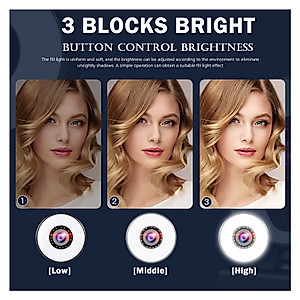 Webcam Webcam 4K Mini Web Camera for PC Computer Laptop with Microphone Auto Focus Light Video Webcam 1080P 2K Live Web Cam Accessories for Recording Calling Conferencing Gaming (1080P (with Tripod)