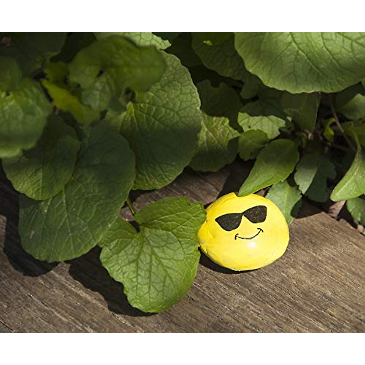 Creativity for Kids Hide & Seek Rock Painting Kit - Arts & Crafts For Kids - Includes Rocks & Waterproof Paint