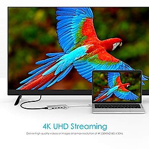 LENTION USB C Hub with 3-Slot Card Reader, 4K HDMI, USB 3.0, USB 2.0, Type C Data/Charging Compatible 2023-2016 MacBook Pro, New Mac Air/Surface, Stable Driver Certified Adapter (CB-C19, Silver)