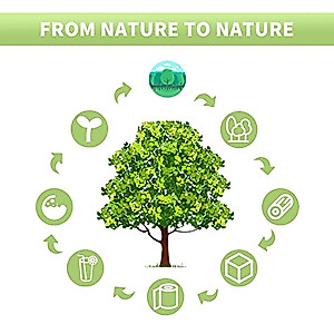 Green White Striped Straws, Disposable Paper Straws Spring Green Biodegradable Paper Drinking Straws 7.75 inch (100 of Box)