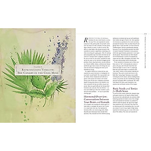 Body into Balance: An Herbal Guide to Holistic Self-Care