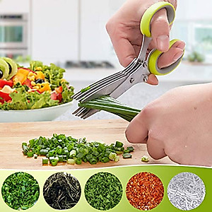 LHS Herb Scissors with 5 Multi Stainless Steel Blades and Safe Cover Kitchen Gadgets Cutter, Kitchen Chopping Shear, Mincer, Sharp Dishwasher Safe Kitchen Gadget, Culinary Cutter