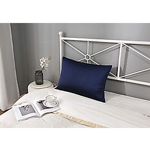 100% Mulberry Silk Pillowcase for Hair and Skin, Both Side 19 Momme Silk with Hidden Zipper,2 Pack (Navy Blue, Standard)