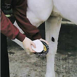 Tack Shack of Ocala- Animalintex Hoof Poultice Pad and Poultice Pad, Poultice Pad, Poultice Pad for Horses, Poultice for Horses, Poultice Wrap- Leg Care for Horses (3-Pack Hoof Poultice)