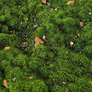 Miniature Scenery Basing Material Kit Terrain Kit for DIY Model Terrain Scenery Model Railway Fairy Garden Diorama Scenery, Pack of 3