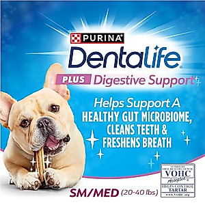 Purina Dentalife Plus Digestive Support Chicken and Pumpkin Flavor Small/Medium Dog Dental Chews - 19 ct. Pouch