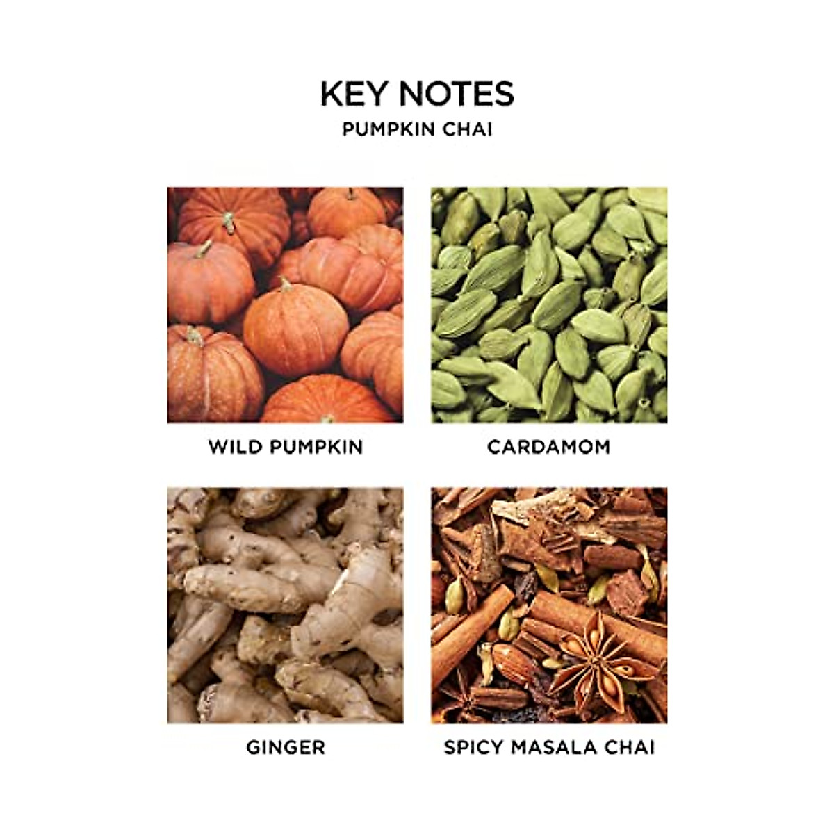 NEST Fragrances 3-Wick Candle- Pumpkin Chai , 21.1 oz - NEST03PC002