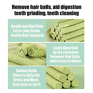 Sesrebet Berdexa Cat Grass Teething Stick, Cat Grass Teething Sticks for Indoor Cats, Cat Chew Sticks, Cat Grass Teeth Cleaner, Natural Grass Molar Rod for Hairball Removal and Cadental Care (10PCS)