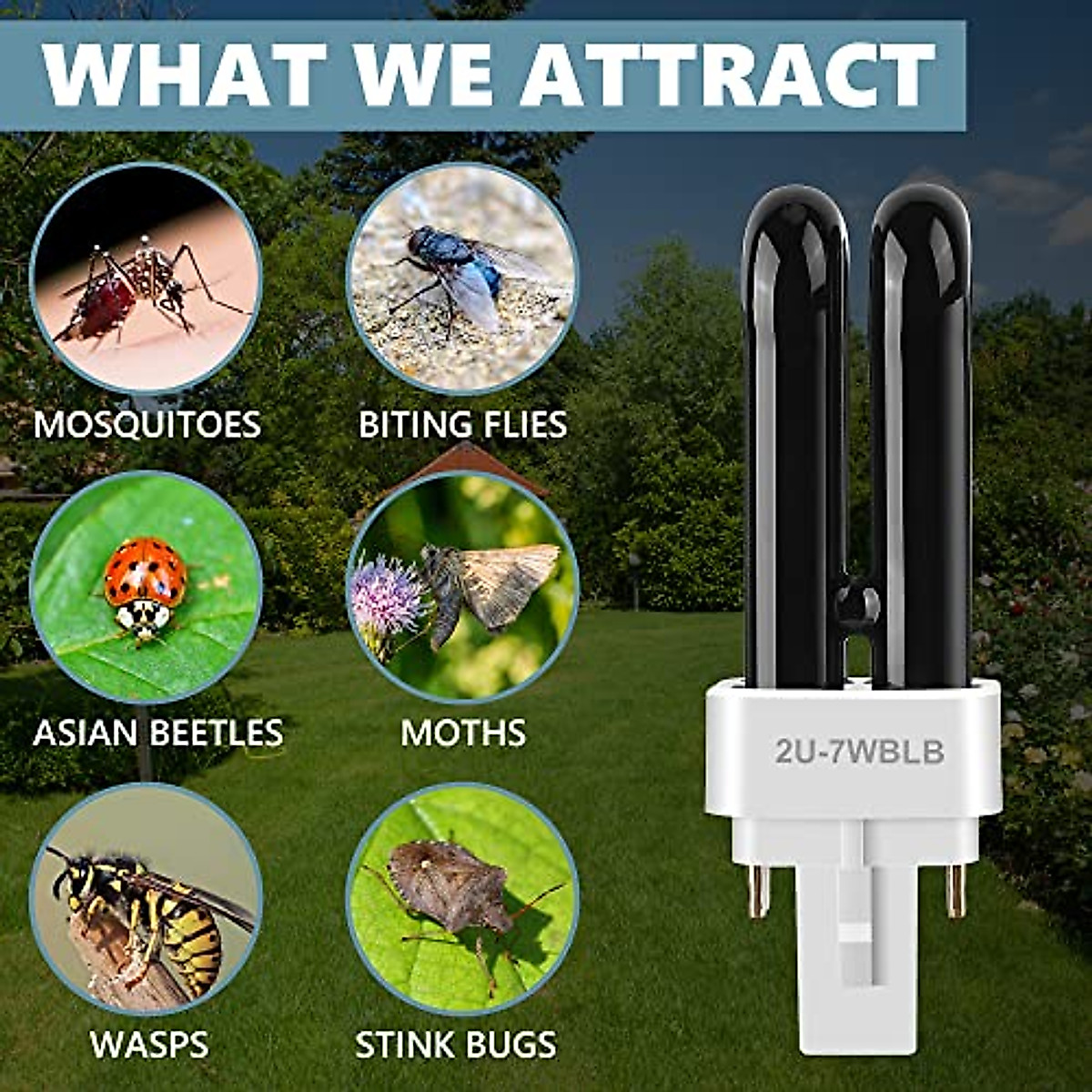 Bug Zapper Replacement fluorescent Bulbs, 2 Pack 41050 Bulbs for DynaTrap DT1050 DT1100 DT1250, 7W UV Light Ultraviolet Mosquito Killer Lamp, 1/2 Acre Trap Replacement Bulb