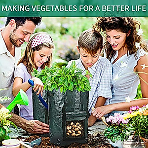 10 Gallon Potato Bag-6 Packs, Breathable Plant Bag with Windows and Handles for Tomatoes, Carrots, Fruits and Garden Pots (Dark Green)