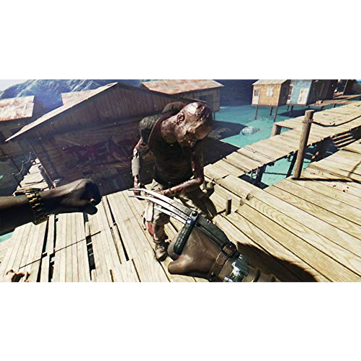 Dead Island Definitive Edition Collection (PS4)