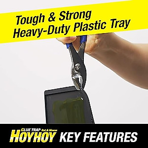 HOY HOY Rat & Mouse Regular Size Glue Trap 8 Traps [4 Pack] - Heavy-Duty Professional Strength Ready-to-Use Pest Control, Kids & Pets Friendly Indoor Home Mouse and Other Household Pests