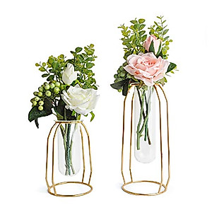 FSyueyun Desktop Glass Vase with Metal Frame，Modern Creative Hydroponics Vase Metal Flower Planter Terrariums Plant Glass-Gold (6.3Inch)