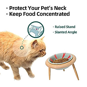 Havniva Ceramics Cat Bowl Adjustable Cat Food Bowl Kitty Bowl Raised Tilted Cat Bowl Cat Water Bowl Pet Supplies Slanted Elevated Cat Bowl (600ml, Light Green)