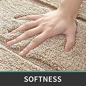 DEXI Bathroom Rug Mat, Extra Soft Absorbent Premium Bath Rug, Non-Slip Comfortable Bath Mat, Carpet for Tub, Shower, Bath Room, Machine Wash Dry, 16"x24", Beige