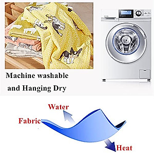 Irisbell Wolf Throw Blanket Cozy Warm Fleece Flannel Blanket for Sofa Bed Travel Soft Plush Gifts Blanket for Adult and Kids (Wolf-1, 80 x 60 in)