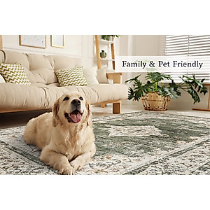 Valenrug Washable Rugs 8x10 - Ultra Thin Green Area Rug, Stain Resistant Non-Skid Rugs for Living Room, Antique Bedroom Rugs(8'x10', TPR40-Green)