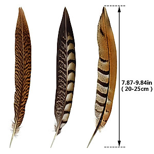 obmwang 21 Pcs 20-25cm Natural Pheasant Feathers for DIY Craft Wedding Home Party Decorations, 3 Styles
