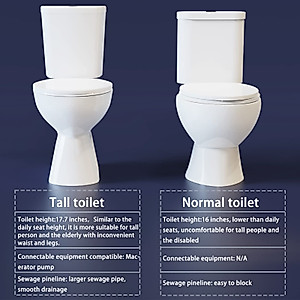 Simple Project 19inch Tall Toilet | Elongated Toilets 1.28GPF Powerful Dual Flush | Rear Outlet Toilet, High Toilets For Seniors, Disabled & Tall Person