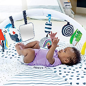 Sassy Stages STEM Developmental Play Gym, Sensory Tummy Time Activity Play Mat w/Built-in Instructions, Ultra Plush & Machine Washable Playmat for Babies & Toddlers
