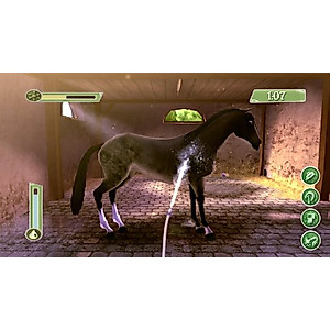 Petz Saddle Club - Sony PSP