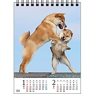2023 柴犬カレンダー 卓上書き込み式 [B6タテ] 【S3】 (永岡書店のカレンダー)