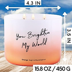 Orange Goji Eucalyptus Scented Candle 3 Wick | Aromatherapy Stress Relief Eucalyptus Energy Candle | Highly Scented Soy Candles Clean Burn 15.8 oz | You Brighten My World Candle Gifts for Men & Women