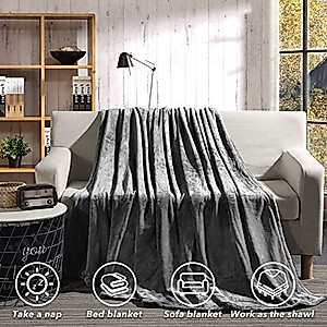 LBRO2M Flannel Fleece Bed Blanket, Queen Size Super Soft Warm Fuzzy Microfiber Velvet Plush Throw Lightweight Cozy Couch Blankets, All Season Use