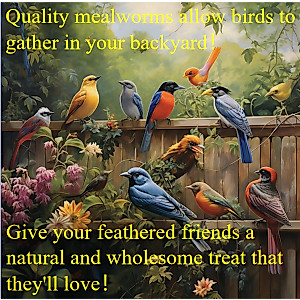 Classic Flock 10.5lb Mealworms - High Protein, Pure Natural, Delicious - Ideal for Chickens, Birds, Ducks, Lizards, Turtles, Fish, and Reptiles, 10lbs Meal Worms