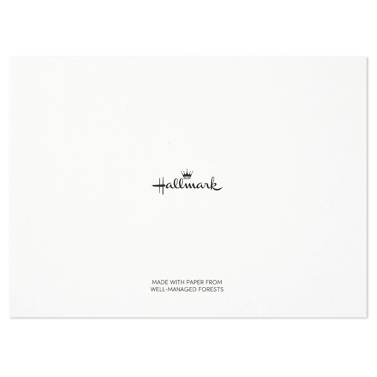 Hallmark Assorted Blank Cards (Stripes, Floral, Polka Dots, Bird, 40 Cards with Envelopes)