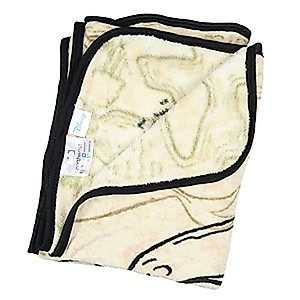 Disney Peter Pan Neverland Map Micro Raschel Throw Blanket 46"x60" (116cm x 152cm)