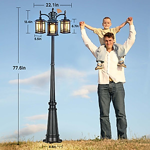 PARTPHONER Dusk to Dawn Outdoor Lamp Post Lights, Black Light Pole with Clear Glass Panels (3 LED Bulbs Included), 3-Head Hardwired Waterproof Outside Street Lights for Backyard Garden Driveway