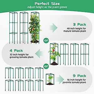 FITTDYHE 3 Pack Tomato Cages for Garden 48 Inches with 3Pcs Tomato Planter(10-Gallon), Upgraded Fiberglass Tomato Trellis Garden Plant Cage, Tomato Plant Support with Grow Bags, Clip,Twist Ties