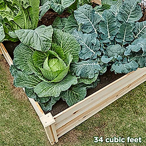 AMERLIFE 15 Inch Deep Wooden Raised Garden Planter 8x4FT Extra Large Raised Garden Bed Planter Box Garden Planters for Deep-Rooted Plants Outdoors Patio Backyard