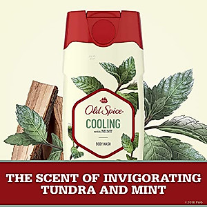 Old Spice Body Wash for Men, Invigorate with Cooling Mint, 16 Fl Oz (Pack of 4)