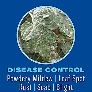 BioAdvanced Houseplant Insect & Mite Control, Ready-to-Use, 24 oz