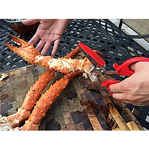 Sea Scissors for Crab Lobster and Shellfish, Surgical Stainless Steel Blades