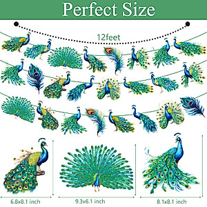 Peacock Party Banner Peacock Birthday Party Decorations Peacock Cutout Banner Peacock Birthday Party Supplies for Zoo Bird Theme Baby Shower Supplies